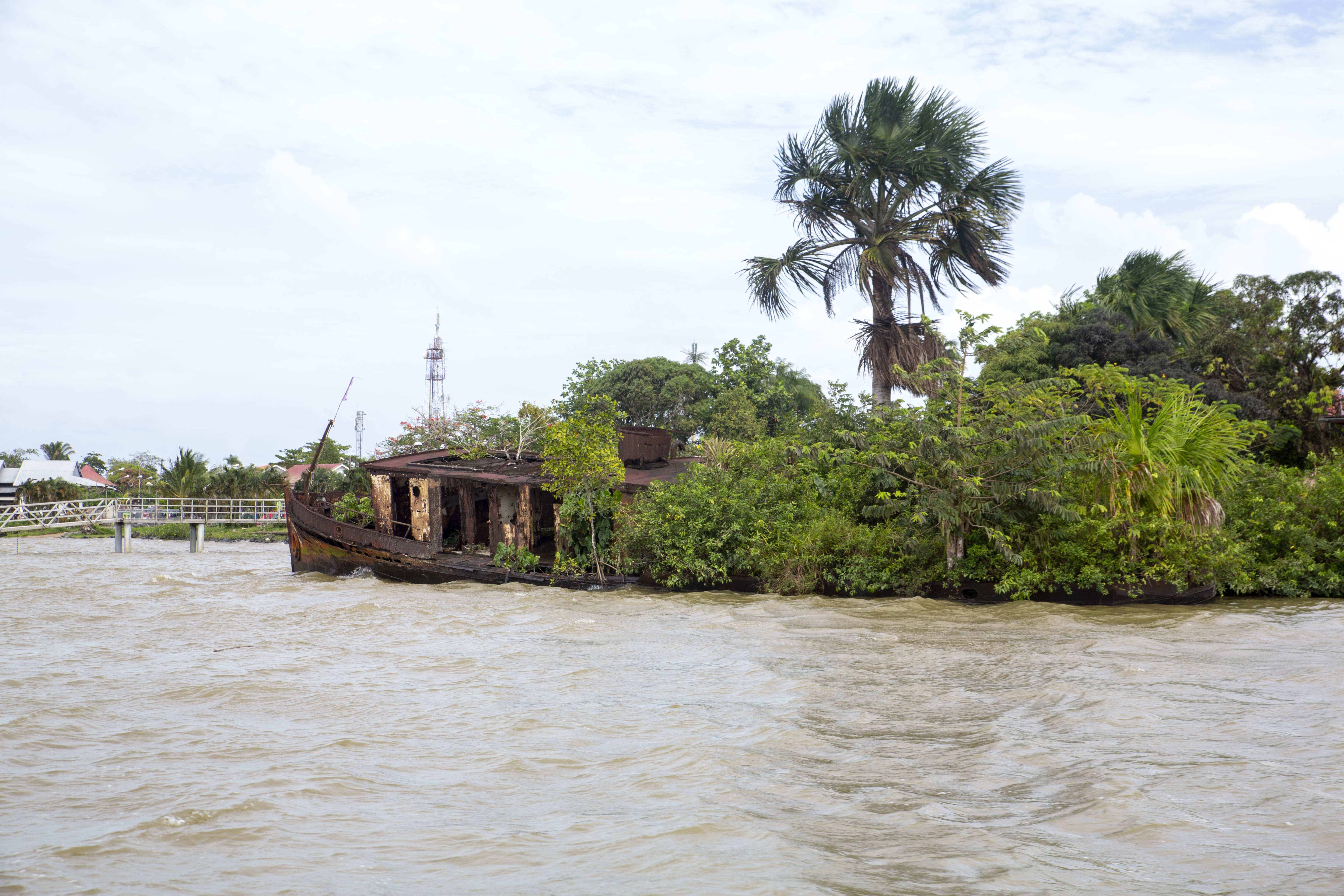 IFGR’s 8th international session in French Guyana: fuelling a shared ...