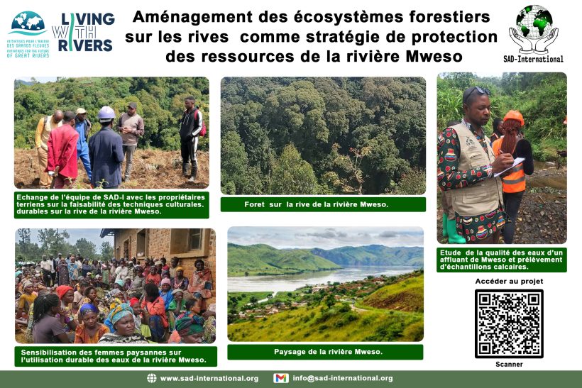 Management of forest ecosystems on riverbanks as a strategy for ...